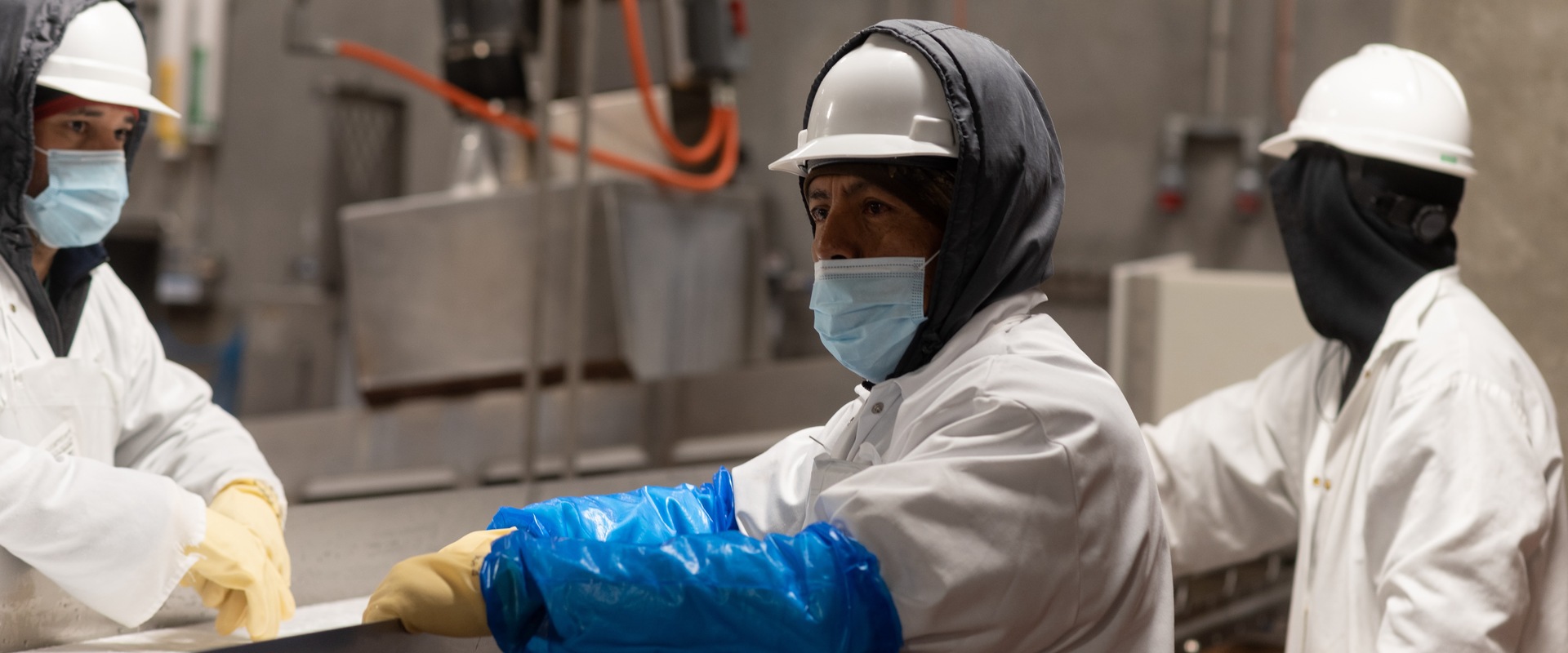 Meat Packing & Beef Supplier Vendor Partnerships